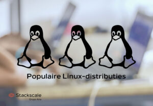 19 populaire Linux-distributies | Stackscale